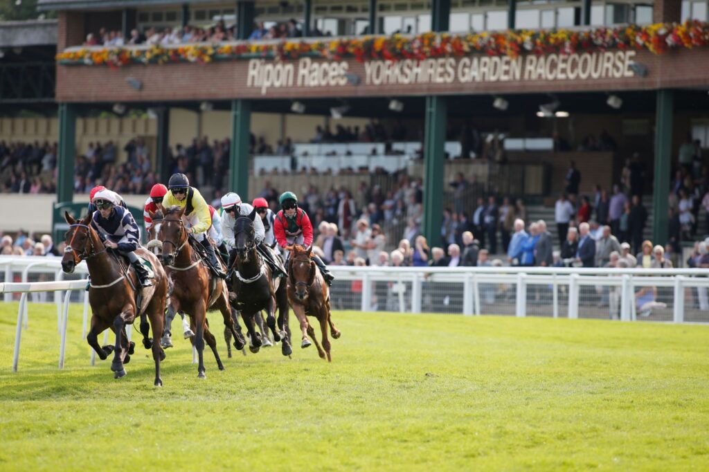 Ripon Ready for 125th Anniversary Season | Yorkshire Racing News | Go ...