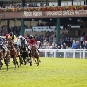 Ripon Racecourse | Go Racing | Yorkshire Horse Racing