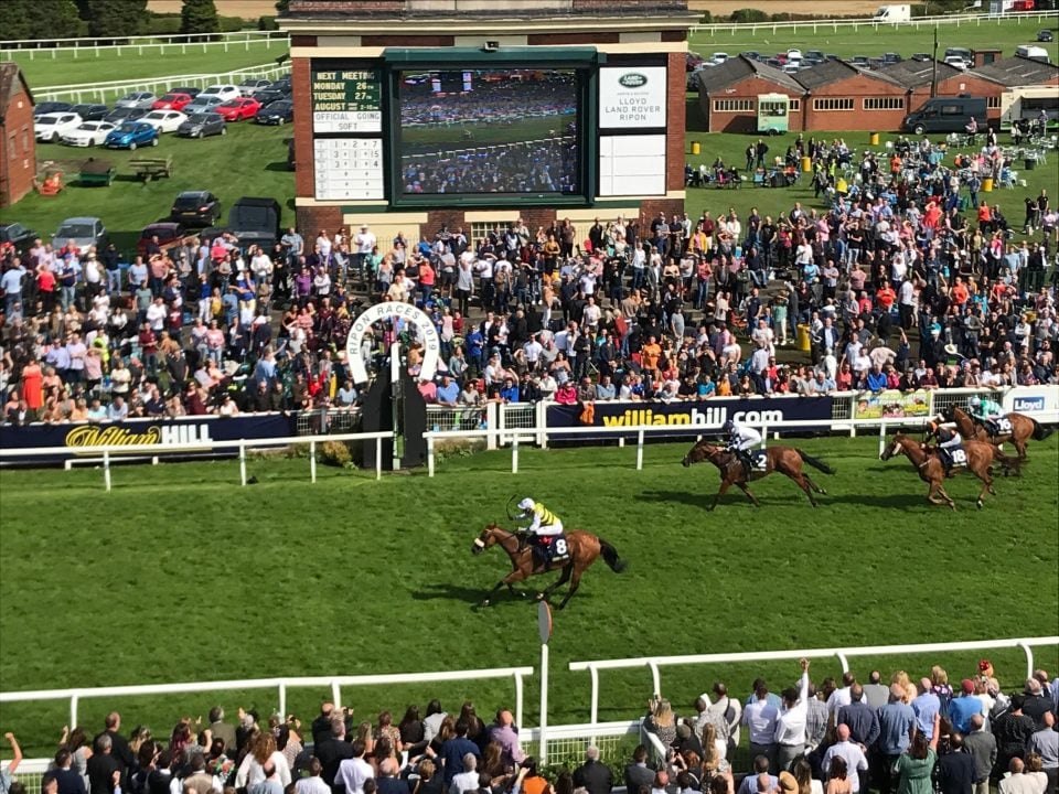 Ripon Racecourse | Go Racing | Yorkshire Horse Racing