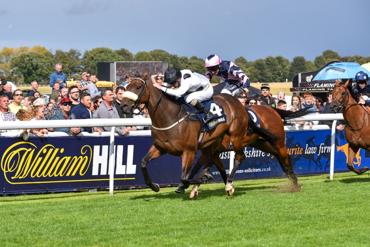 Beverley Racecourse | Go Racing | Yorkshire Horse Racing