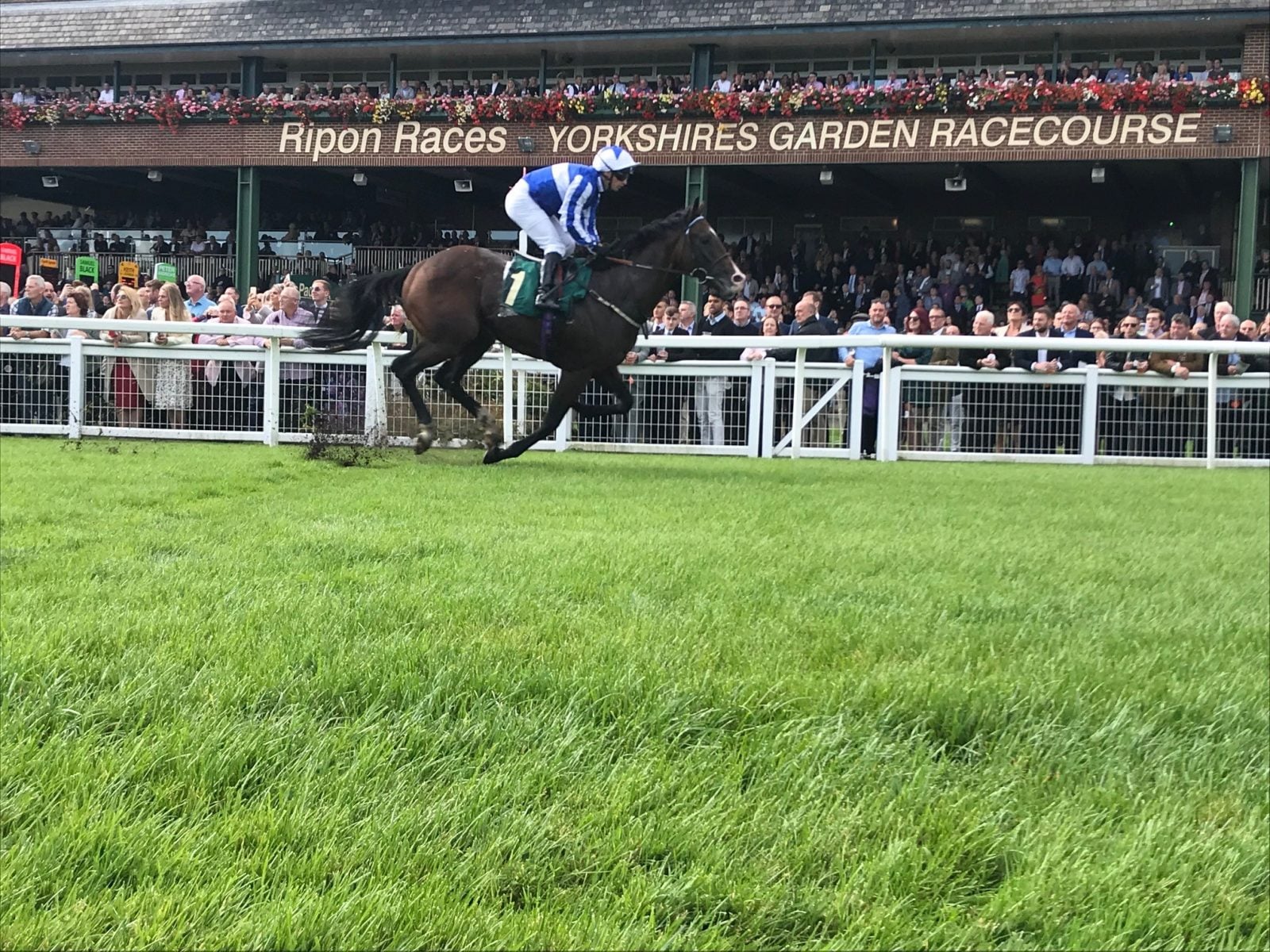 Ripon Racecourse | Go Racing | Yorkshire Horse Racing