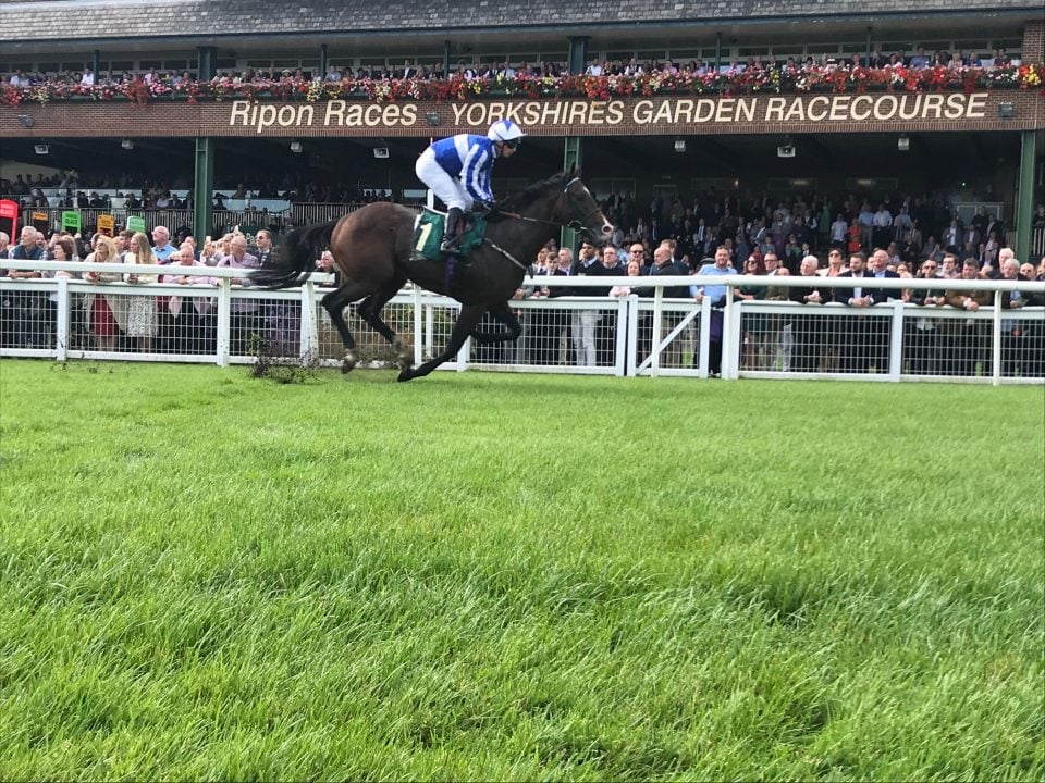 Ripon Racecourse | Go Racing | Yorkshire Horse Racing