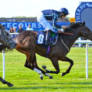 Wetherby Racecourse | Go Racing | Yorkshire Horse Racing