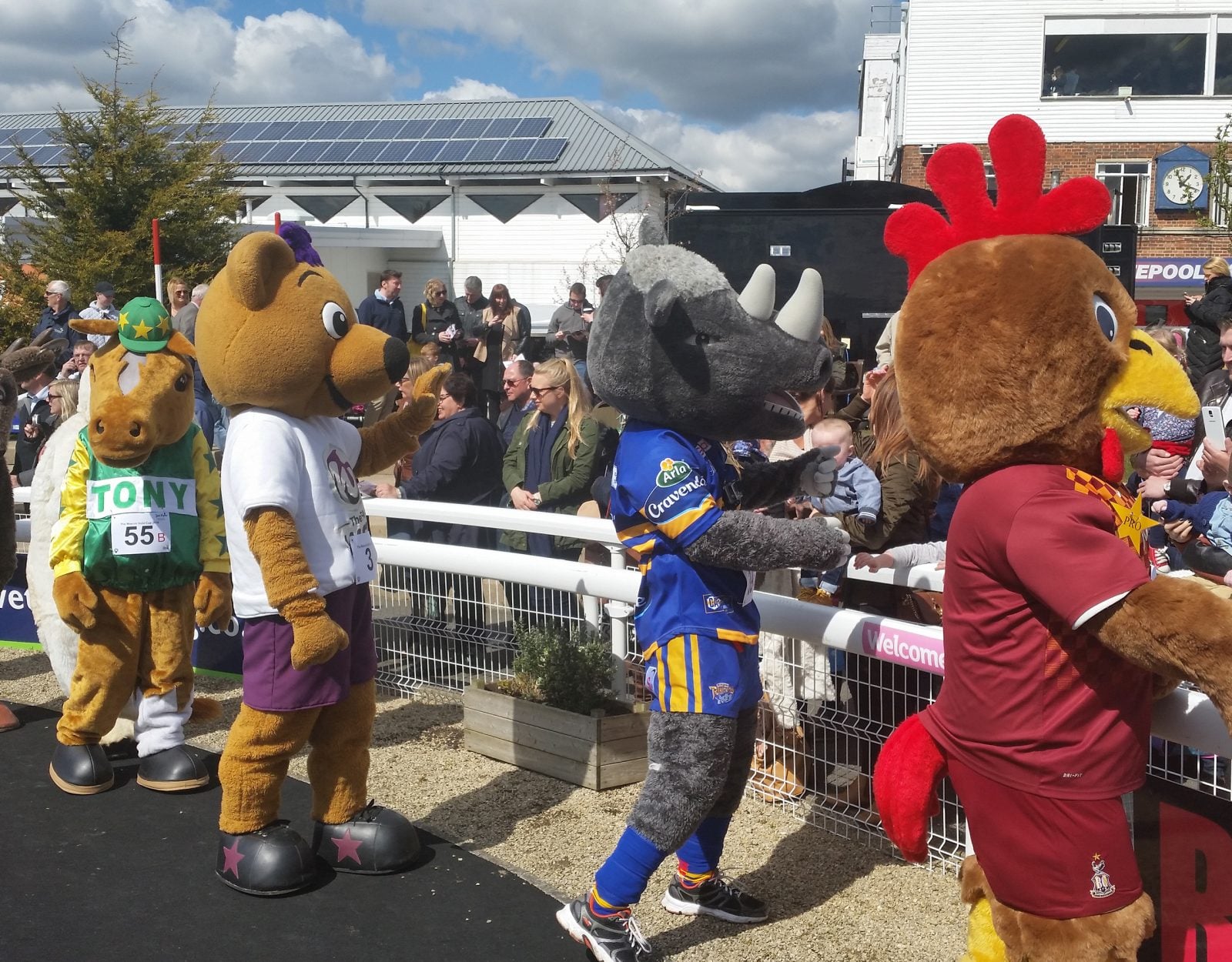 Wetherby Racecourse | Go Racing | Yorkshire Horse Racing