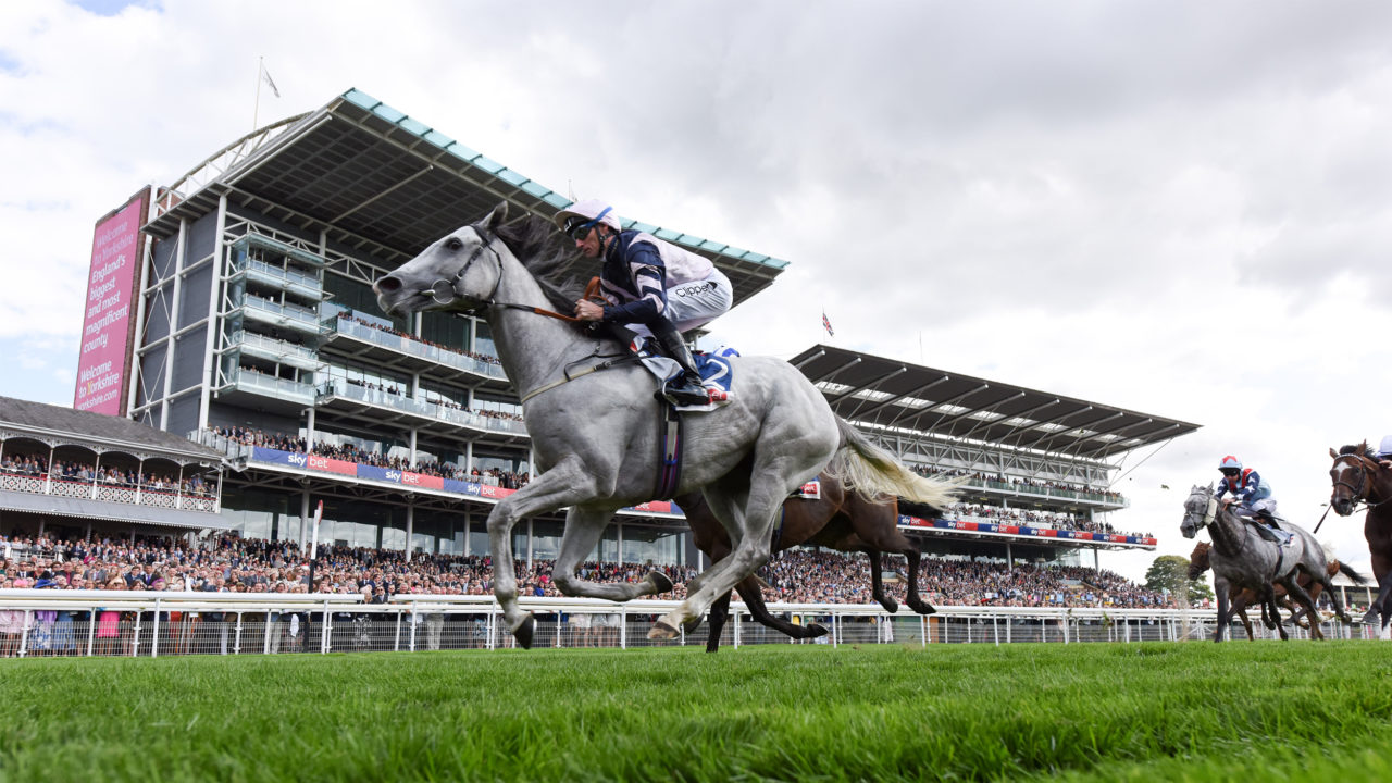York Racecourse | Go Racing | Yorkshire Horse Racing