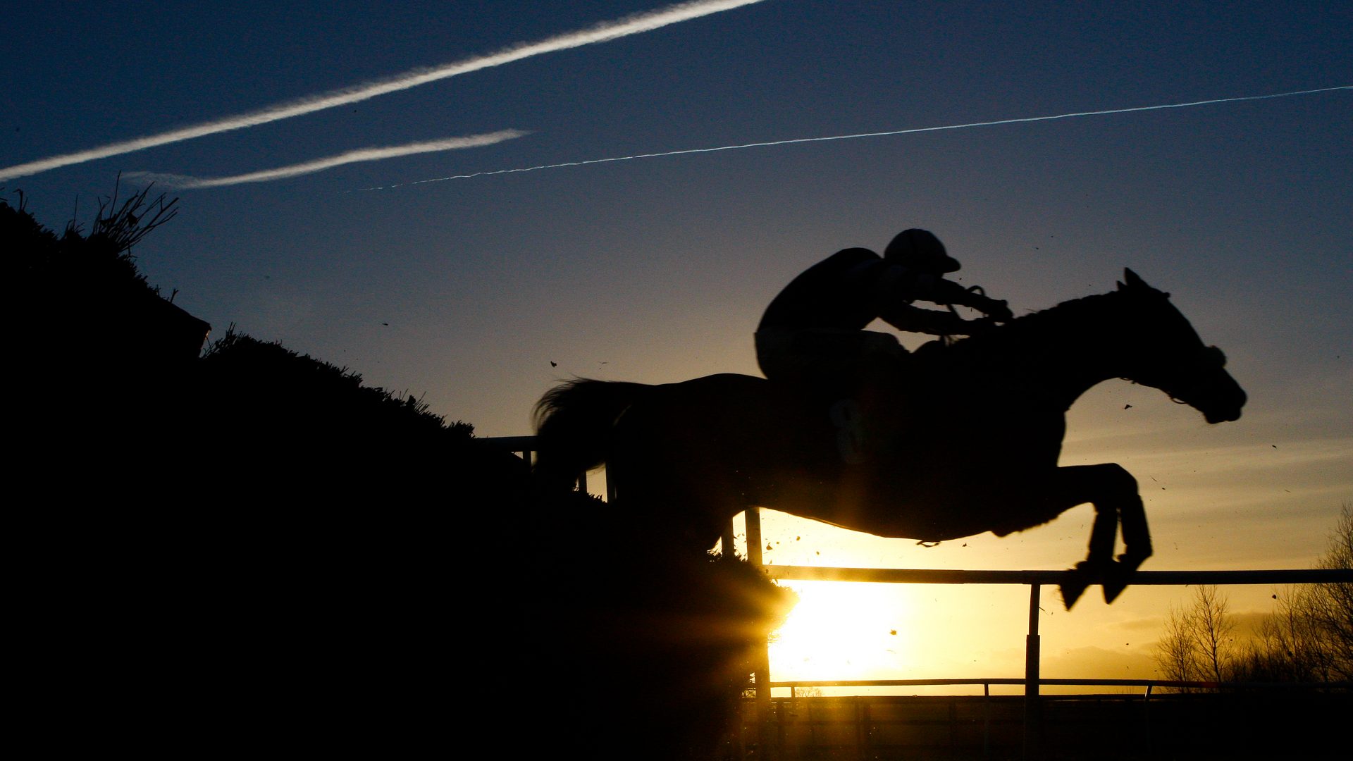 The Home of Yorkshire Racing | Go Racing | Yorkshire Horse Racing