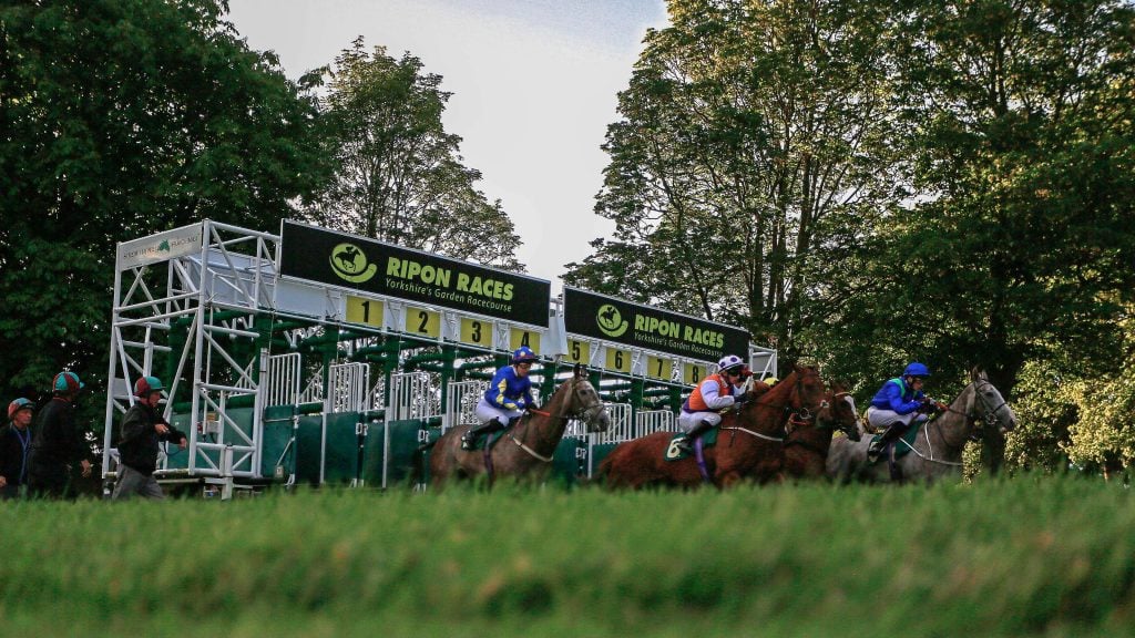 The Home of Yorkshire Racing | Go Racing | Yorkshire Horse Racing