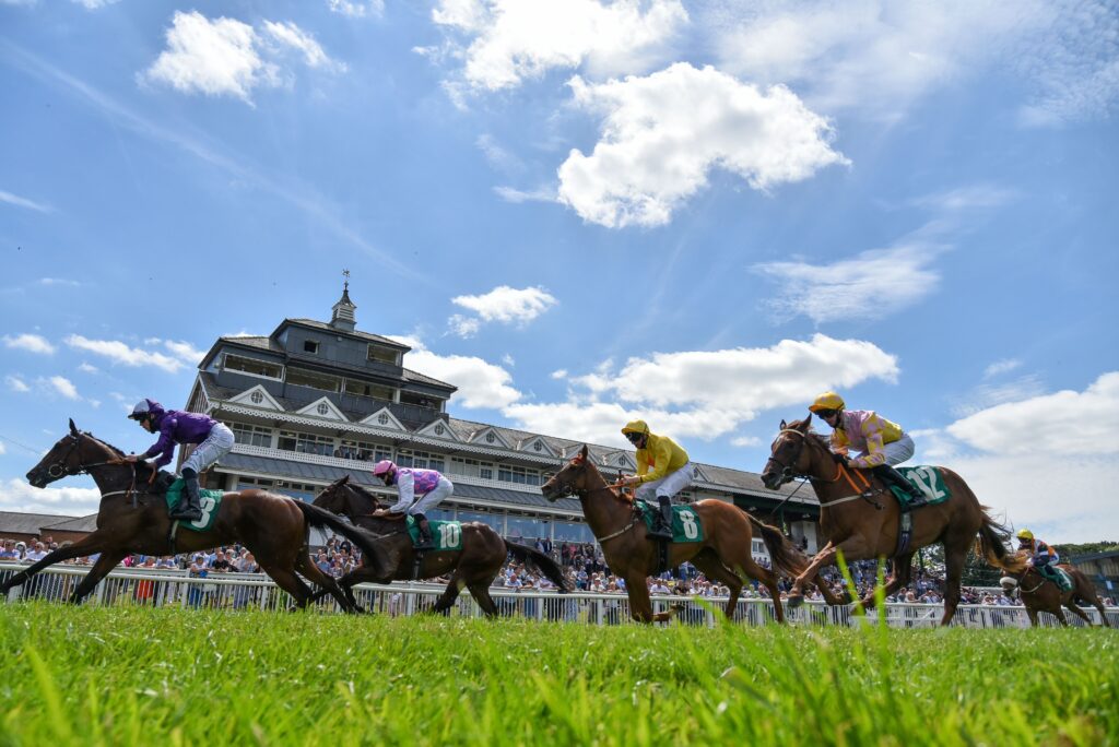 Under starter’s orders for a fun-packed season for the whole family at ...