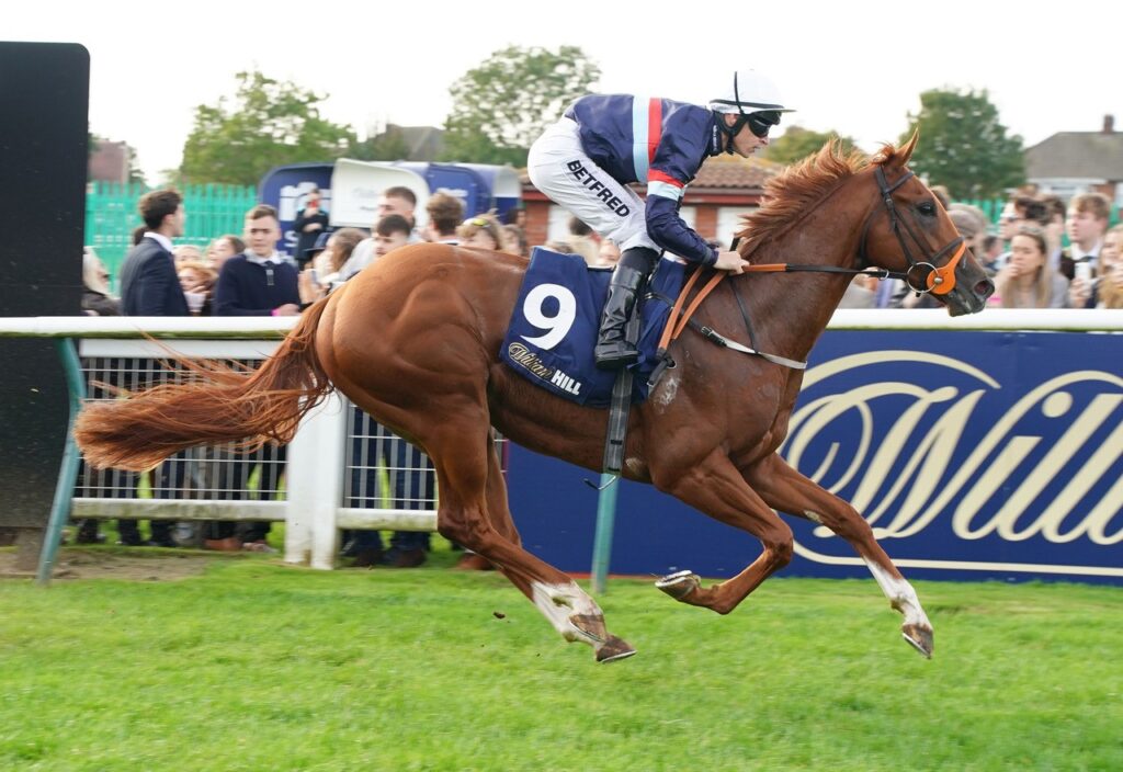 Dragon Maintains Hot Streak In Redcar’s Richest Race | Yorkshire Racing ...
